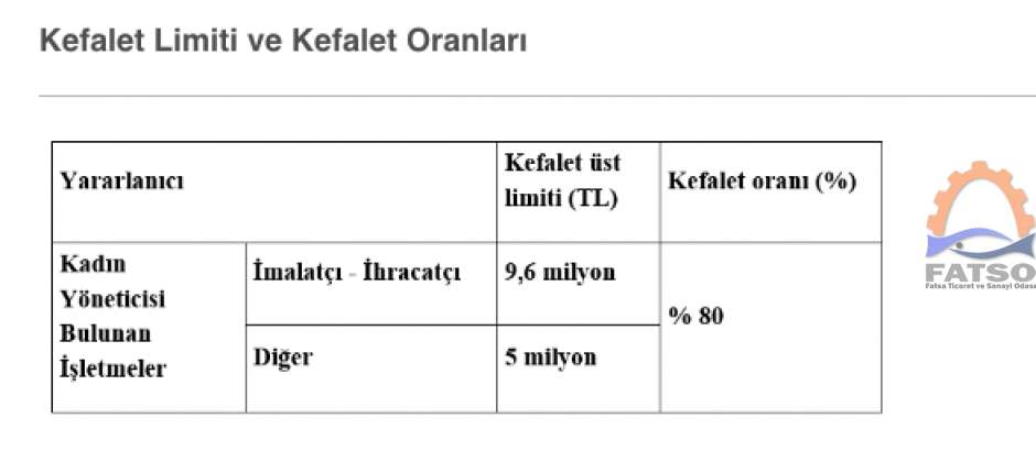 Kadın Girişimcilere Yönelik TURWIB Destek Programı | FATSO Haberleri